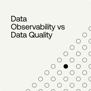 Data Observability vs. Data Quality: What, Why, and How- Telmai